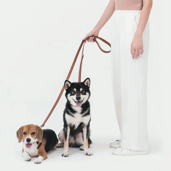 PEHOM｜HART多功能牽繩 - 軍墨綠 - J'Tails Select小捲尾選品